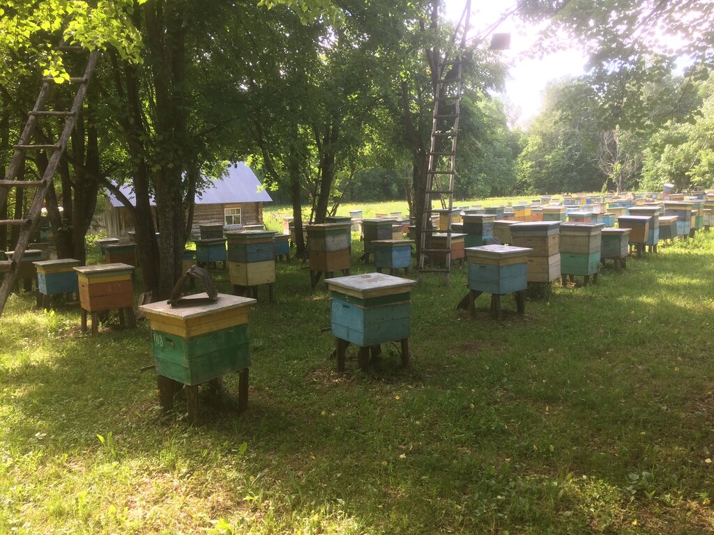 Bal ve arıcılık firmaları Эко-Технологии, Zlatoust, foto