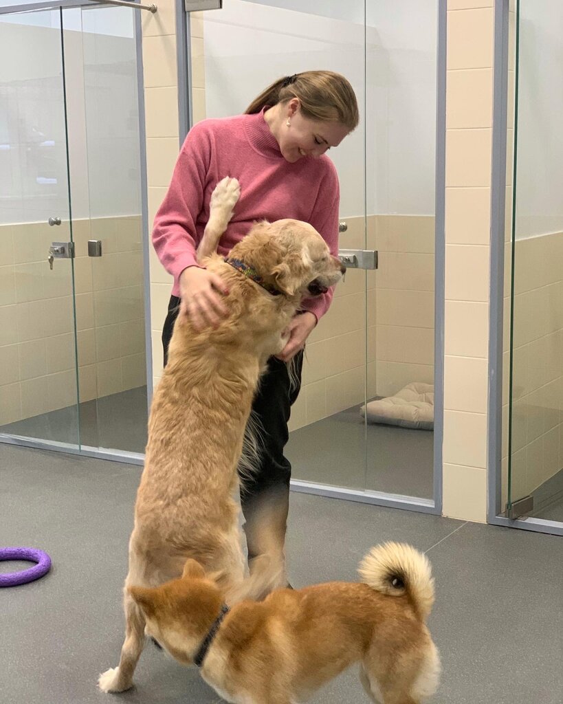 Pet otel Pet Galaxy, Moskova, foto