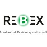 Rebex AG (Zentralstrasse No:19, Dietikon), mali denetleme şirketleri  Zürih'ten