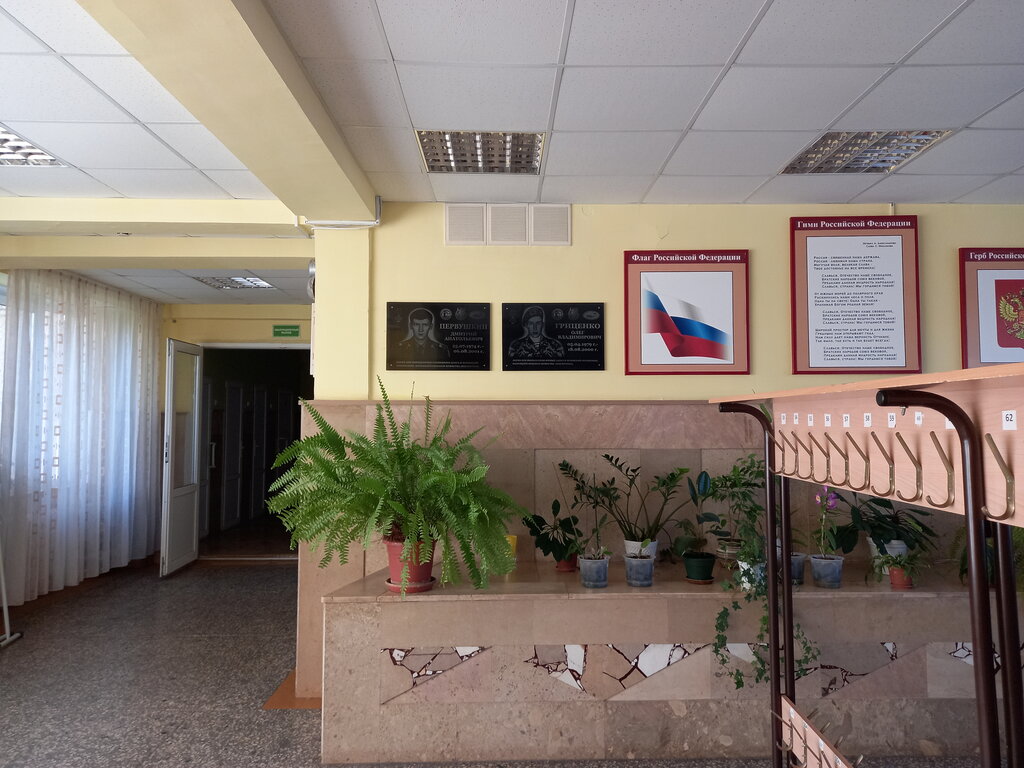 Anıt levhası, anıt taş Дмитрию Анатольевичу Первушкину, Balakovo, foto