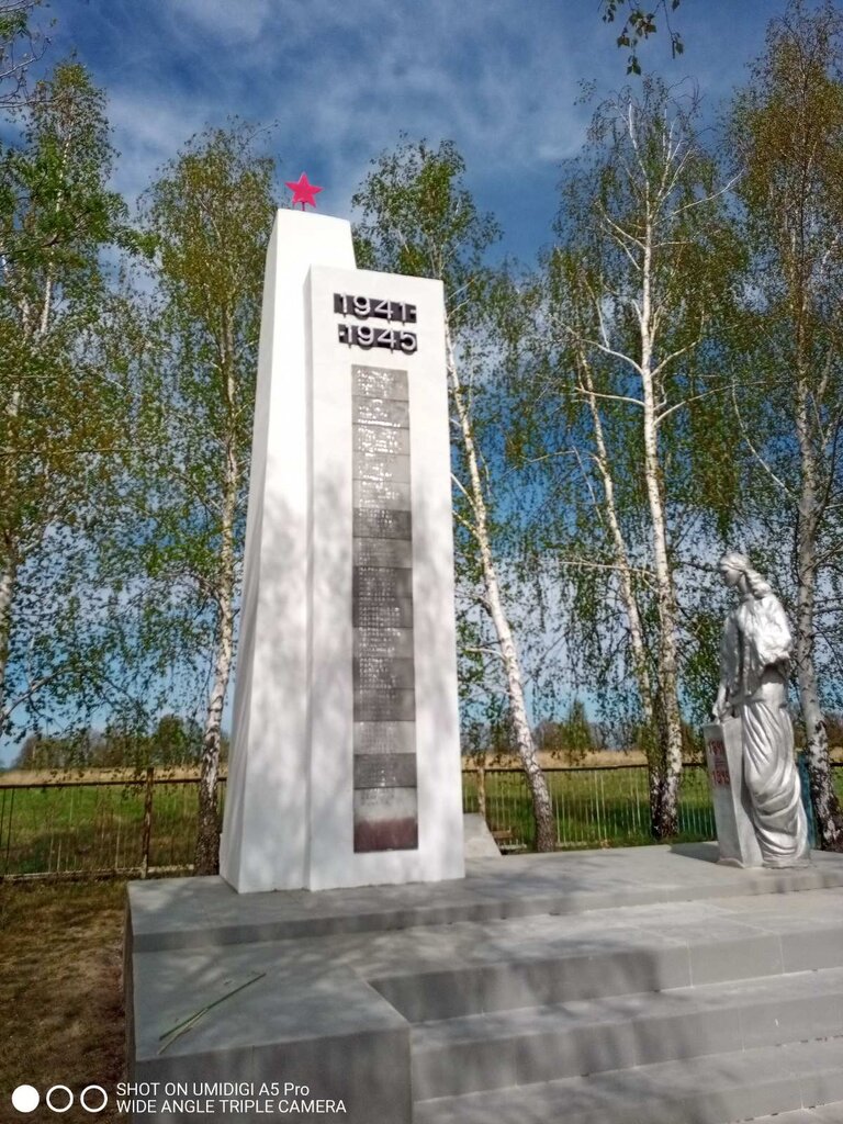 Anıt, heykel Воинам Великой Отечественной войны, 1941-1945 гг., Ulyanovskaya oblastı, foto