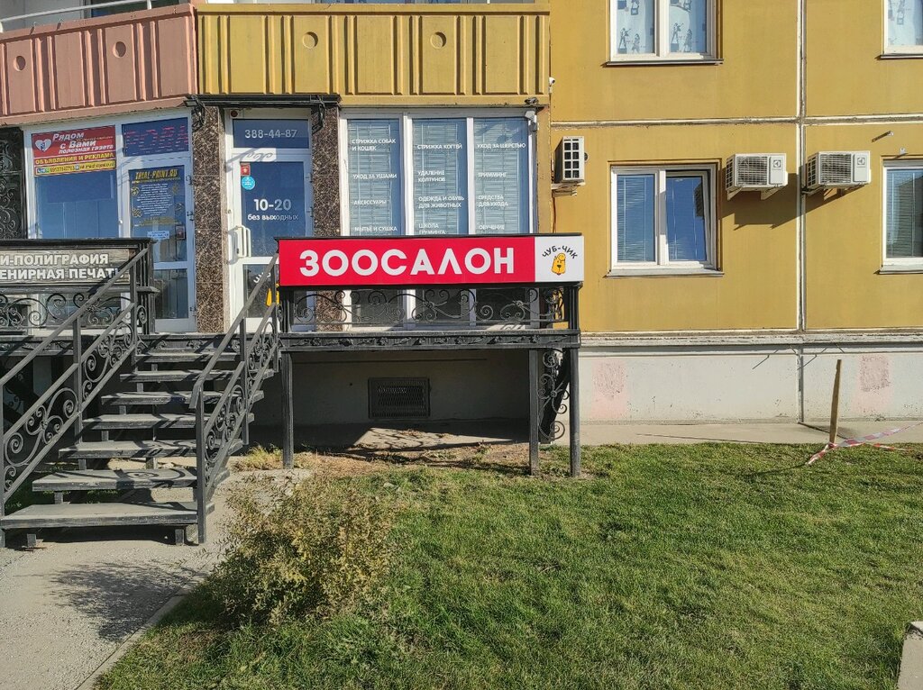 Evcil hayvan kuaförleri Zoosalon Chub-Chik, Novosibirsk, foto