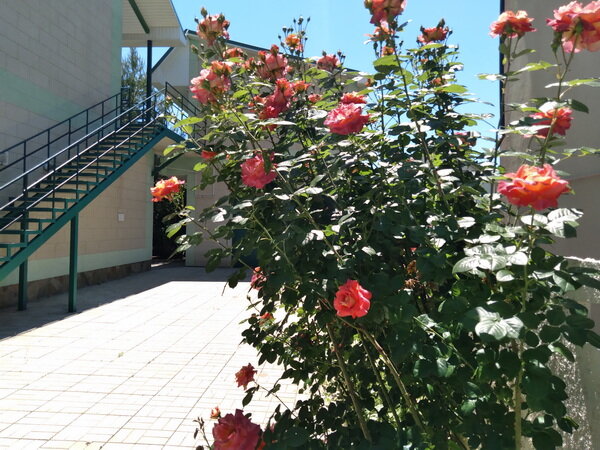 Otel Yuliya, Kırım Cumhuriyeti, foto