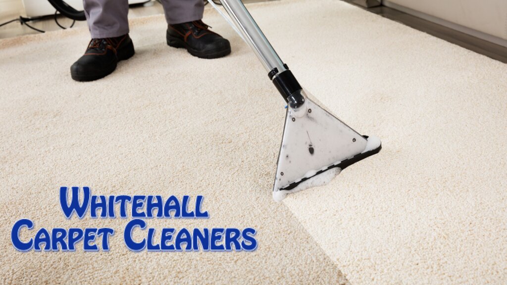 Halı yıkamacılar Whitehall Carpet Cleaners, Güney Carolina, foto