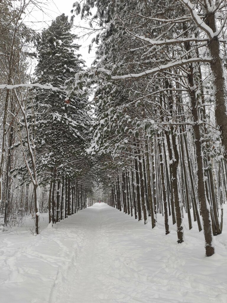 Kültür ve eğlence parkları Парк XX – летия Победы, Mariy El Cumhuriyeti, foto