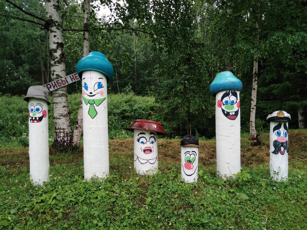 Tatil köyleri Yarygino, Arhangelskaya oblastı, foto