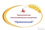 Privolzhye (Vaneeva Street No:205), mali denetleme şirketleri  Nijni Novgorod'dan