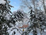 DomVLesu (Penza Region, Gorodishchenskiy rayon, derevnya Verkhniy Krutets), tatil köyleri  Penzenskaya oblastından