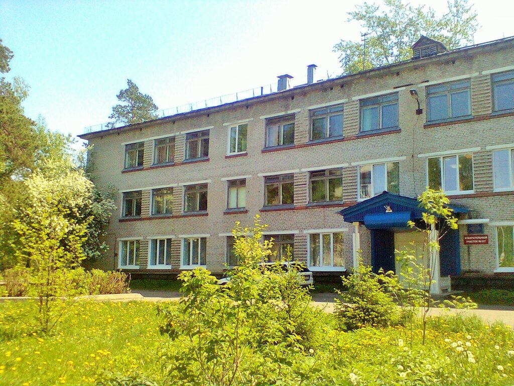 Ortaokul Средняя общеобразовательная школа № 89, вечернее структурное подразделение, Seversk, foto