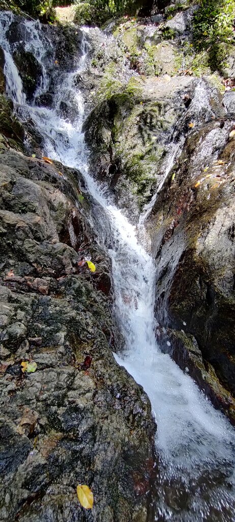 Doğa Tonsai Waterfall, Phuket Eyaleti, foto