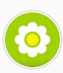 Flower_island (Dzerzhinskogo Street No:78), çiçekçiler  Kaluga'dan