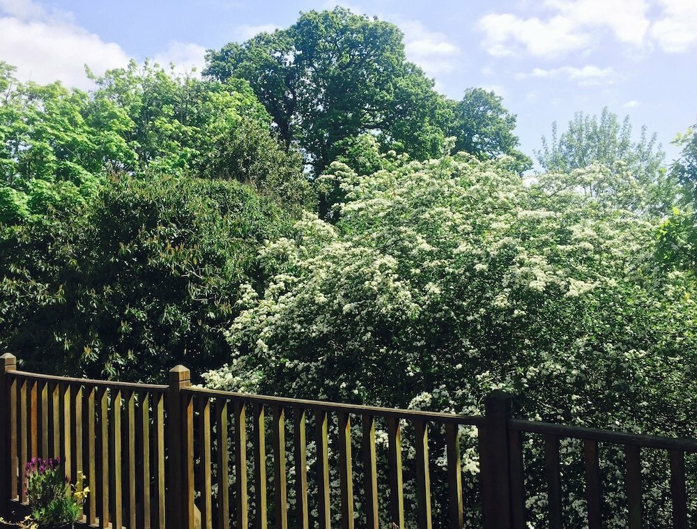 Otel Spot In The Woods, İngiltere, foto