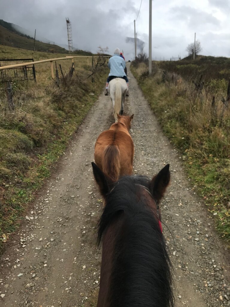 At ve binicilik kulüpleri Конный клуб Вертикаль, Kuzey Osetya‑Alanya, foto