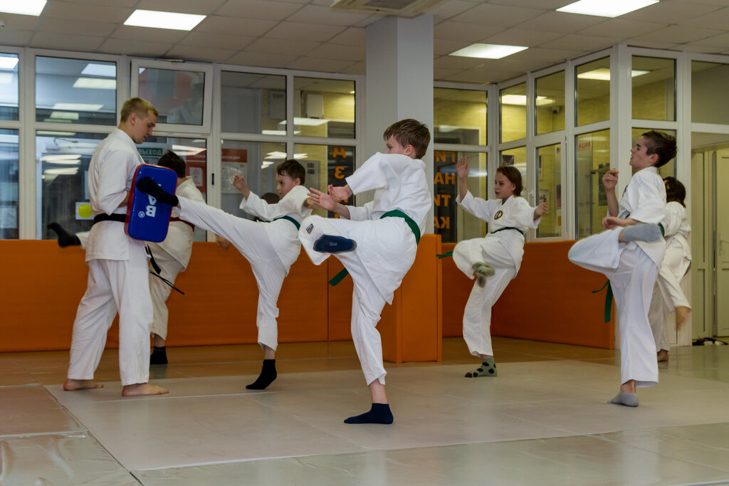 Spor kulüpleri Martial Arts Academy Melnica, Moskova, foto