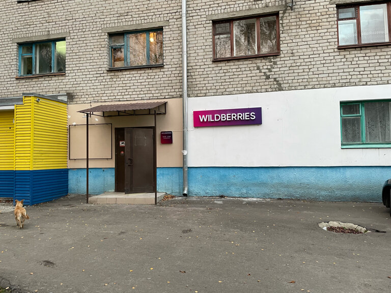 Teslimat noktası Wildberries, Brianskaya oblastı, foto