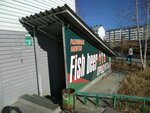 Fish beer (Medovaya ulitsa No:8, rabochiy posyolok Markova), market  İrkutskaya oblastından