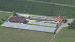 Auer Reben GmbH (Schaffhausen, Unterklettgau, Lisiloostrasse), tarım ürünleri firmaları  Schaffhausen'den