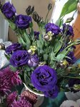 Fresh flowers (Tsentralnaya ulitsa No:8В, Agoy Village), çiçekçiler  Krasnodarski krayından
