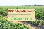 AgroFermer (ulitsa Marshala Tolbukhina No:9, Zhilgorodok Neighborhood), toptan sebze ve meyve satışı  Volgograd'dan