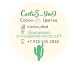 Cactus (Kashirskoye Highway No:63), çiçekçiler  Domodedovo'dan