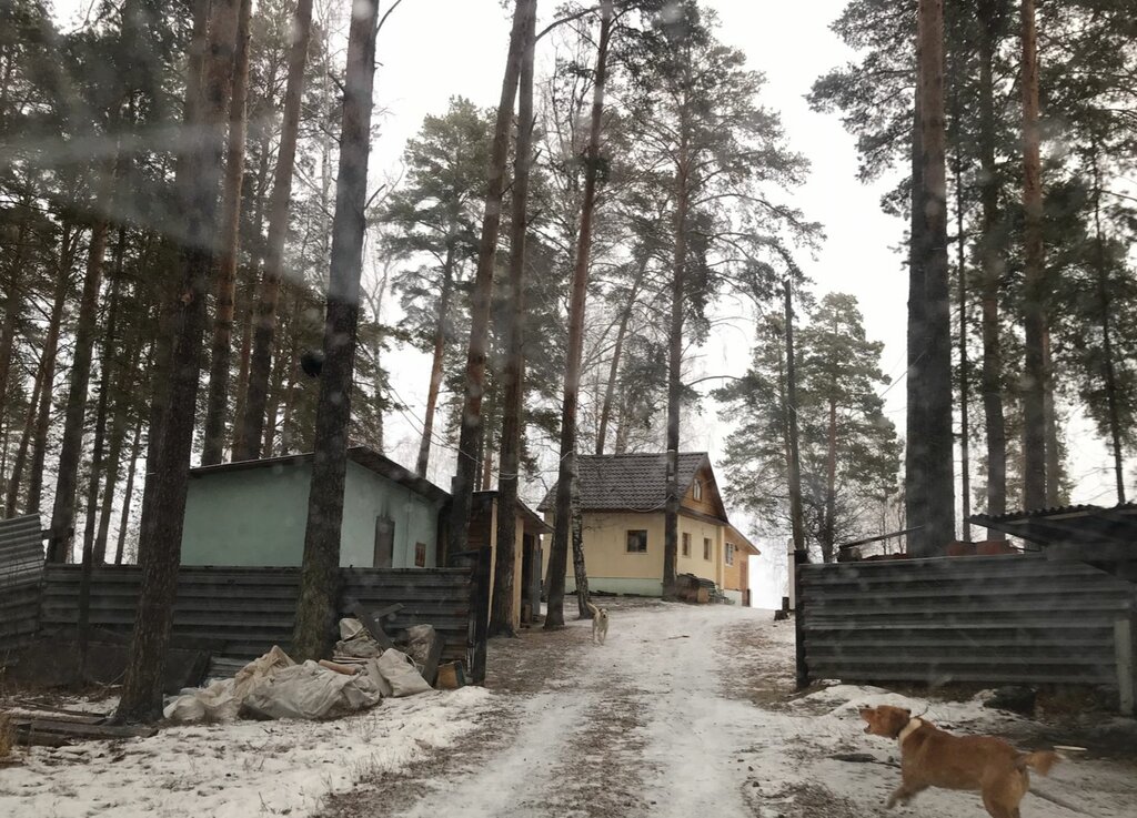 Avcılar ve balıkçılar Дом рыбака, Çeliabinskaya oblastı, foto