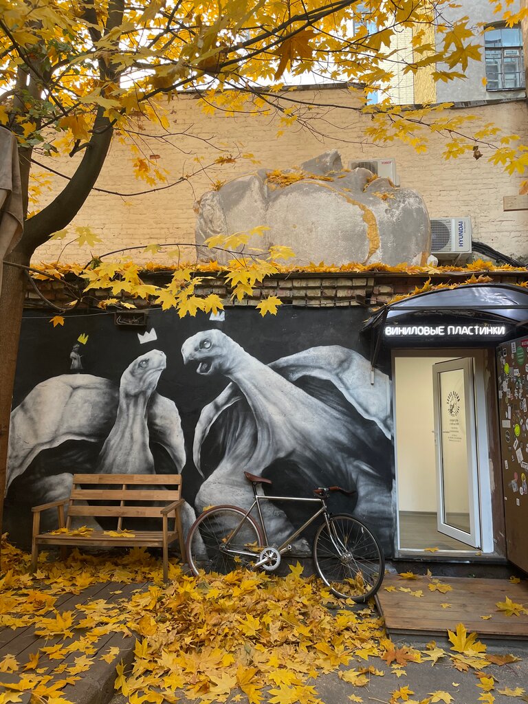 Enstrüman mağazaları Sound Hound Record Store, Saint‑Petersburg, foto