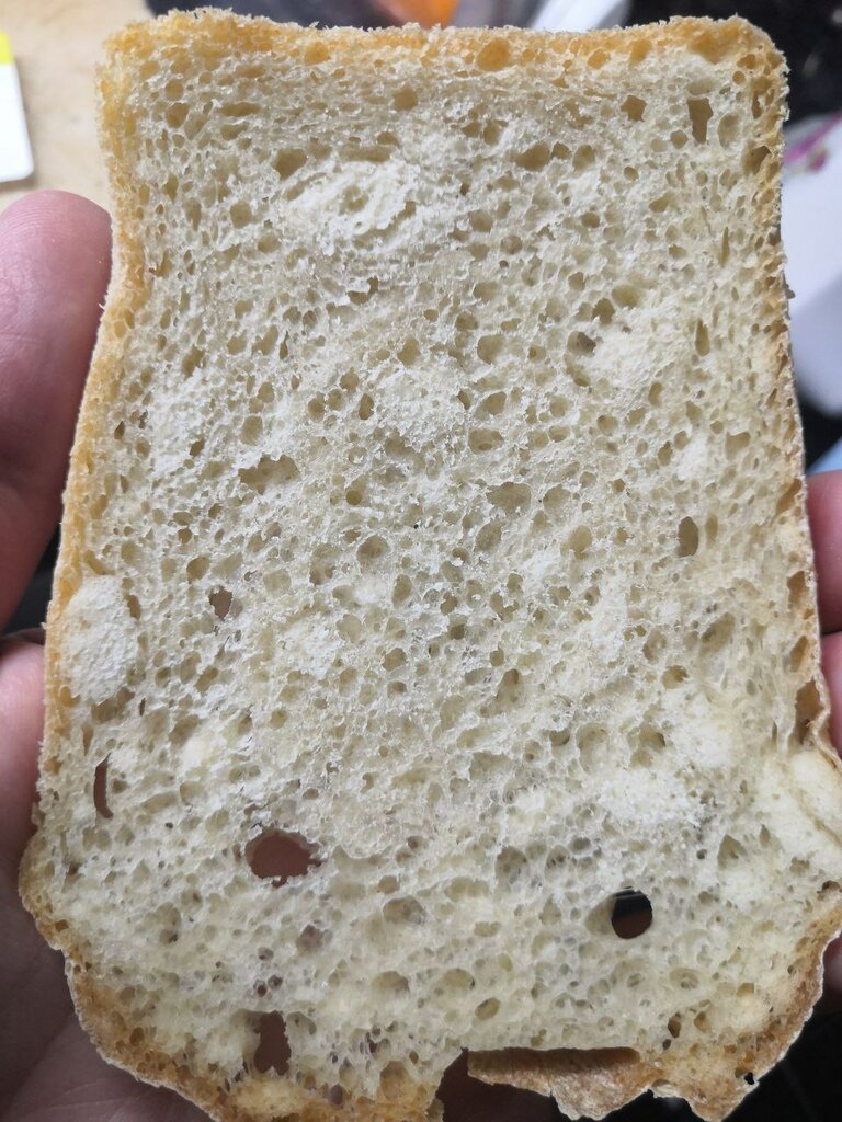 Ekmek fabrikaları Po Bugulminsky Khlebozavod № 1, Bügülme, foto