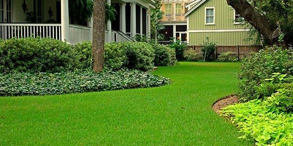 Bahçe ekipmanları ve teknolojileri AssureGreen Property Services, Florida Eyaleti, foto