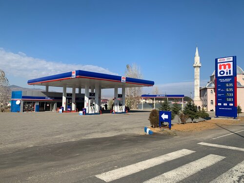 Benzin istasyonu Aygaz-Mogaz - Celal Moray Petrol, Genç, foto