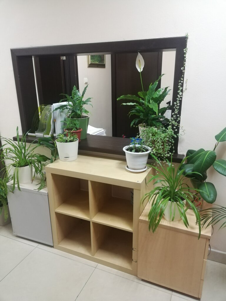 Yönetim ofisi GMS Clinic, Офис, Moskova, foto