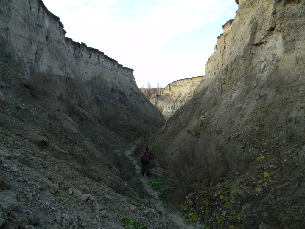 Doğa берег Драверта, Omskaya oblastı, foto
