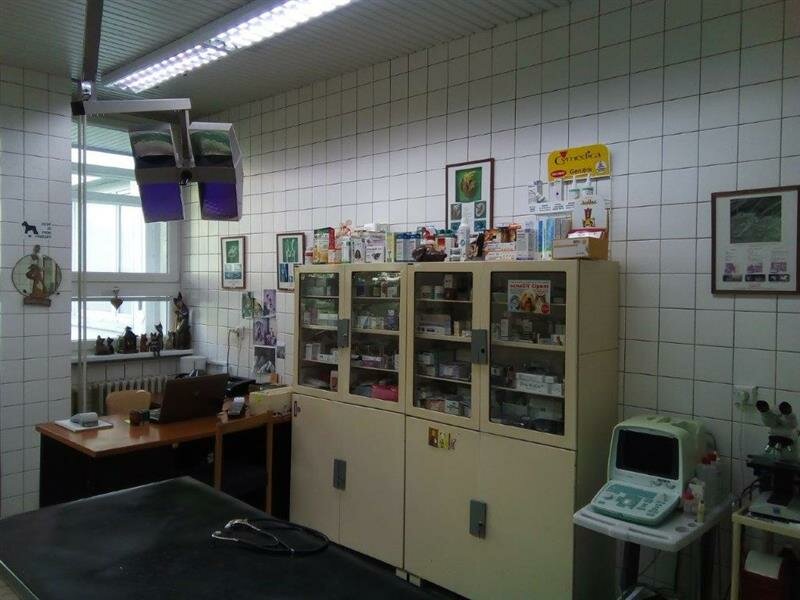 Veteriner klinikleri MVDr. Katarína Pekárová, Bratislava, foto