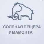 U Mamonta (Saratovskaya Street No:22), tuz mağarası  Moskova'dan