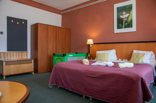Otel Berghof, Karlovy Vary Bölgesi, foto