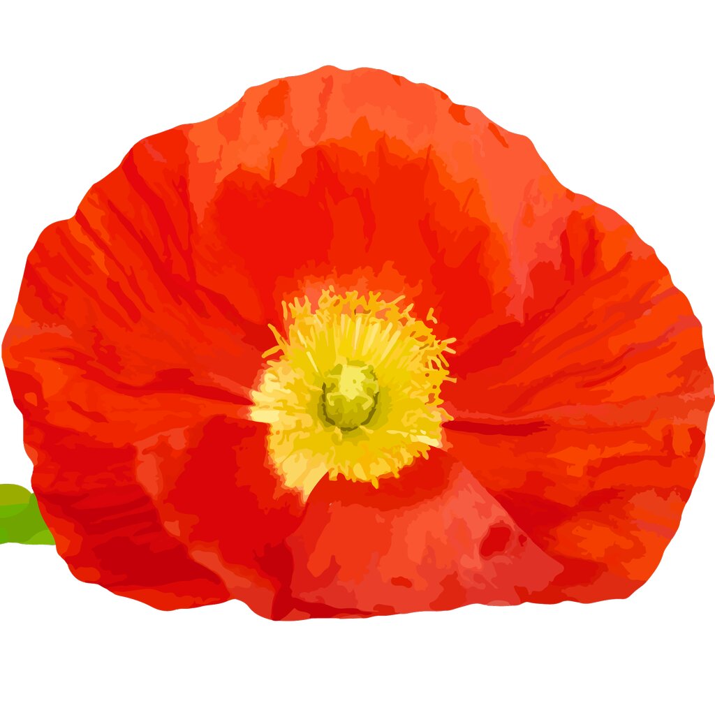 Spa The Natural Look MedSpa, Nashville, foto