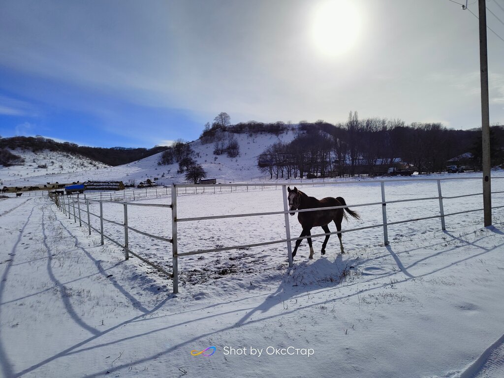 At ve binicilik kulüpleri Конюшня ПКЗ Карачаевский, Karaçay‑Çerkez Cumhuriyeti, foto