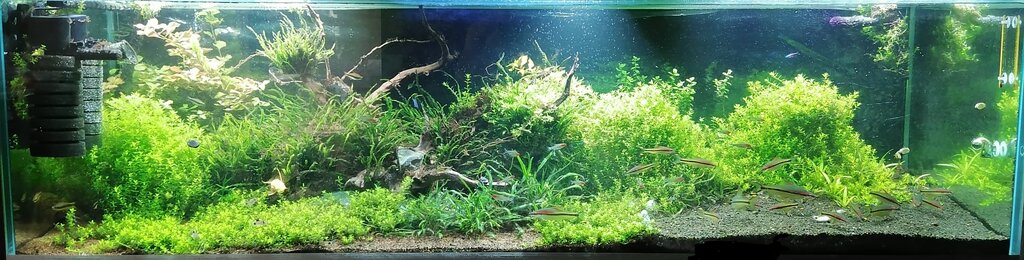 Petshop Tetra, Rostov‑na‑Donu, foto