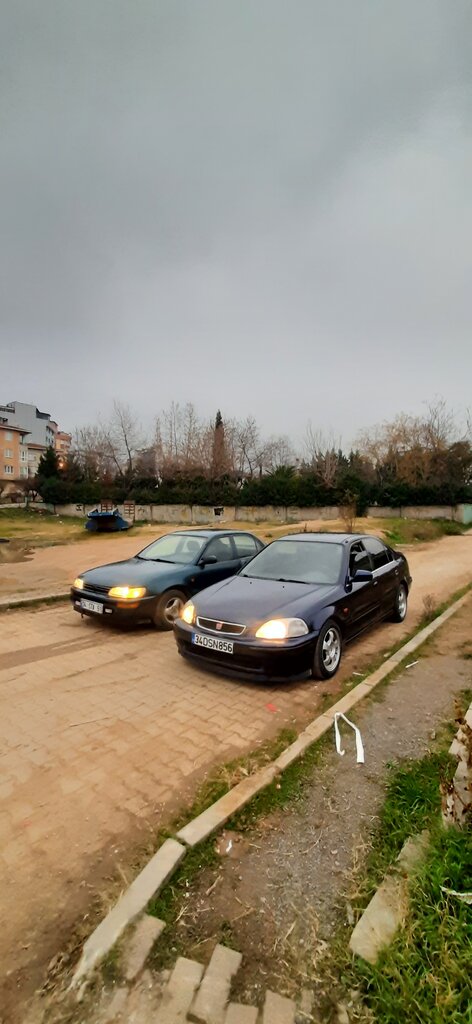 Otomobil satış galerileri Ali Polat Ticaret, Çayırova, foto