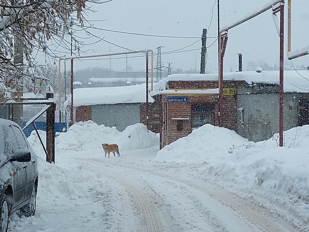 Garajlar Автокооператив № 20, Tula, foto