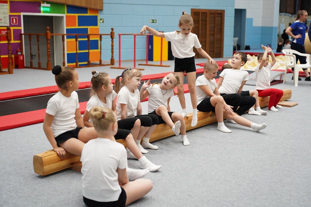 Spor kulüpleri Dynamo gymnastics club, Moskova ve Moskovskaya oblastı, foto