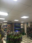 Zoomarket (Polesskaya ulitsa No:53), petshop  Orel'den