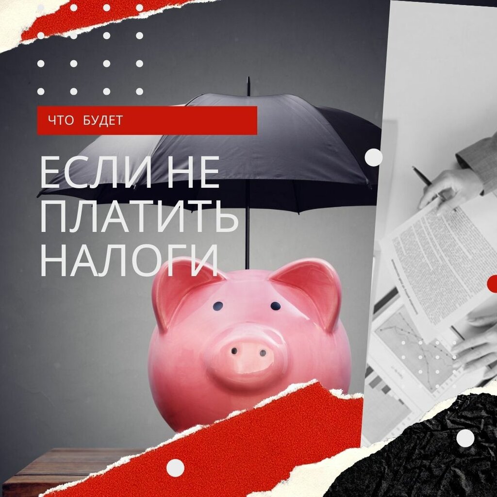 Muhasebeciler Vash pomoshchnik, Saratov, foto