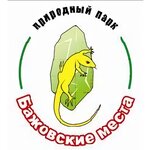Bazhovskie mesta (ulitsa Timiryazeva No:68А), çevre dernekleri  Sysert'ten