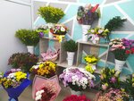 Floreal (No:3/1, 3-shi shaǵyn aýdan), çiçekçiler  Abay'dan
