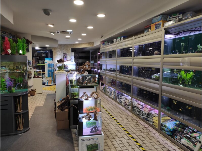 Akvaryumlar A. C. O. Personal Hobby, Bari, foto