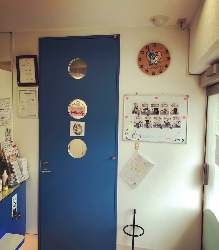 Evcil hayvan kuaförleri 横浜りゅう動物病院, Yokohama, foto