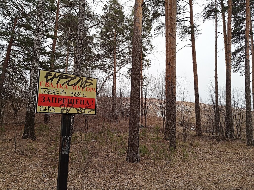 Atık depolama alanı Полигон твёрдых бытовых отходов, Yekaterinburg, foto