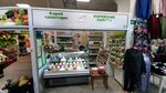 Корейские салаты (Mendeleyeva Street No:177), fast food  Ufa'dan