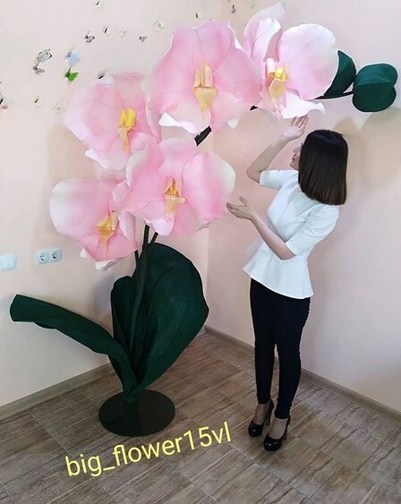 Etkinlik organizasyonu Воздушное счастье, Vladikavkaz, foto