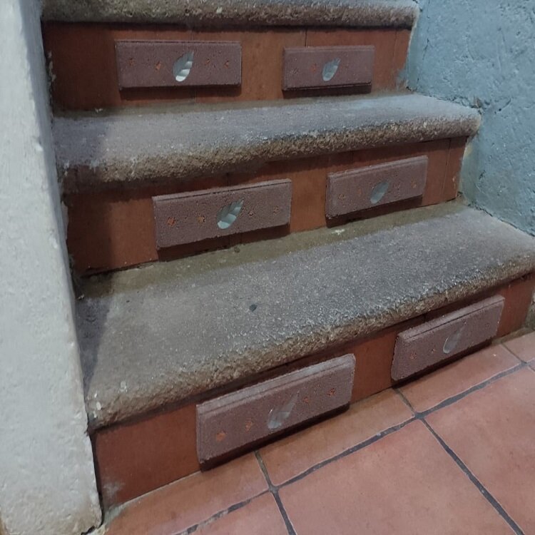 Proje enstitüleri, kurumları Decofriendly, Dünya, foto